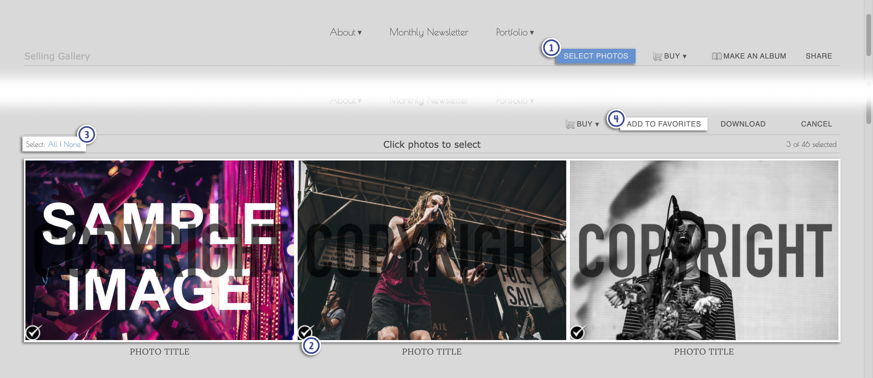 All About Favorites Lists – Zenfolio Classic | Support Center