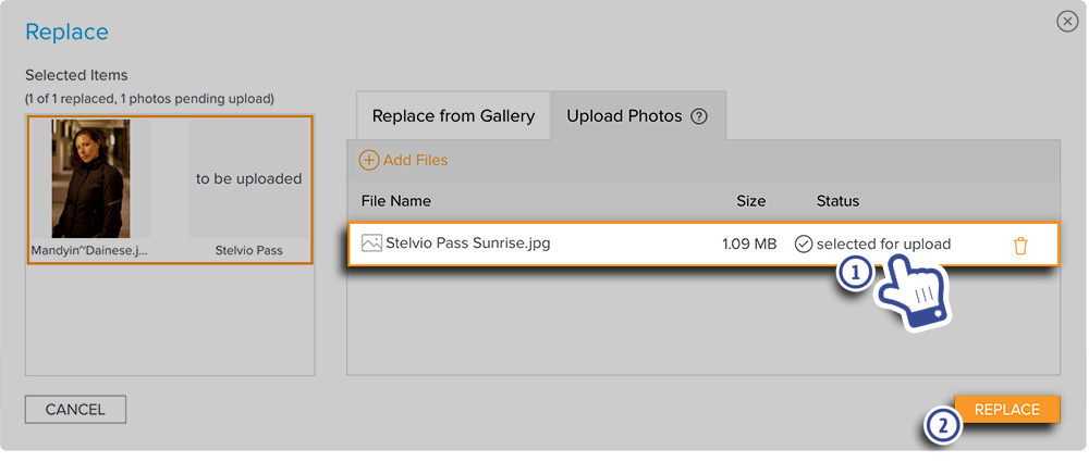Replace a Photograph or Video – Zenfolio Classic | Support Center