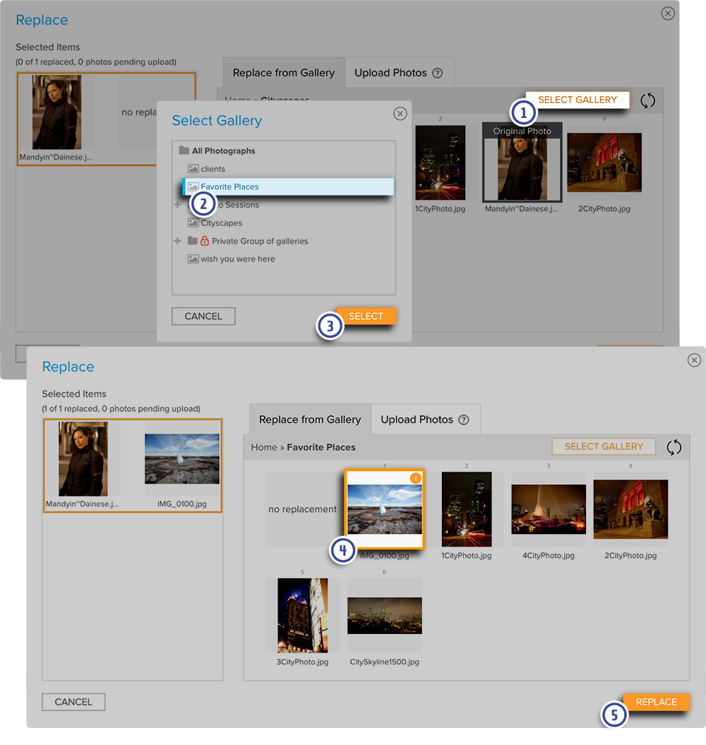 Replace a Photograph or Video – Zenfolio Classic | Support Center