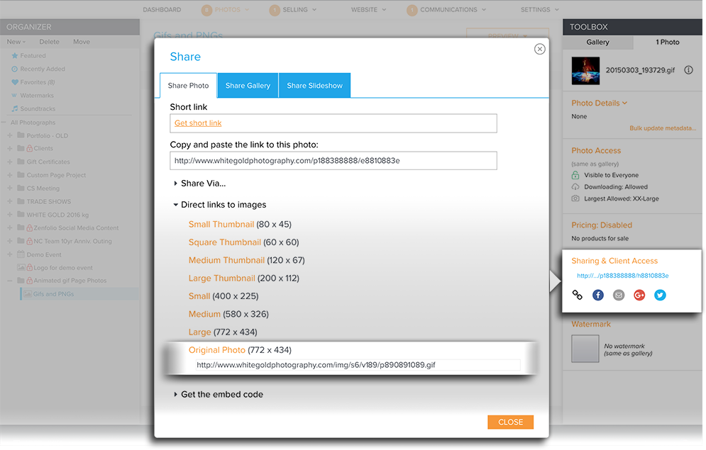How to Display Animated Gifs and Transparent PNGs – Zenfolio Classic ...